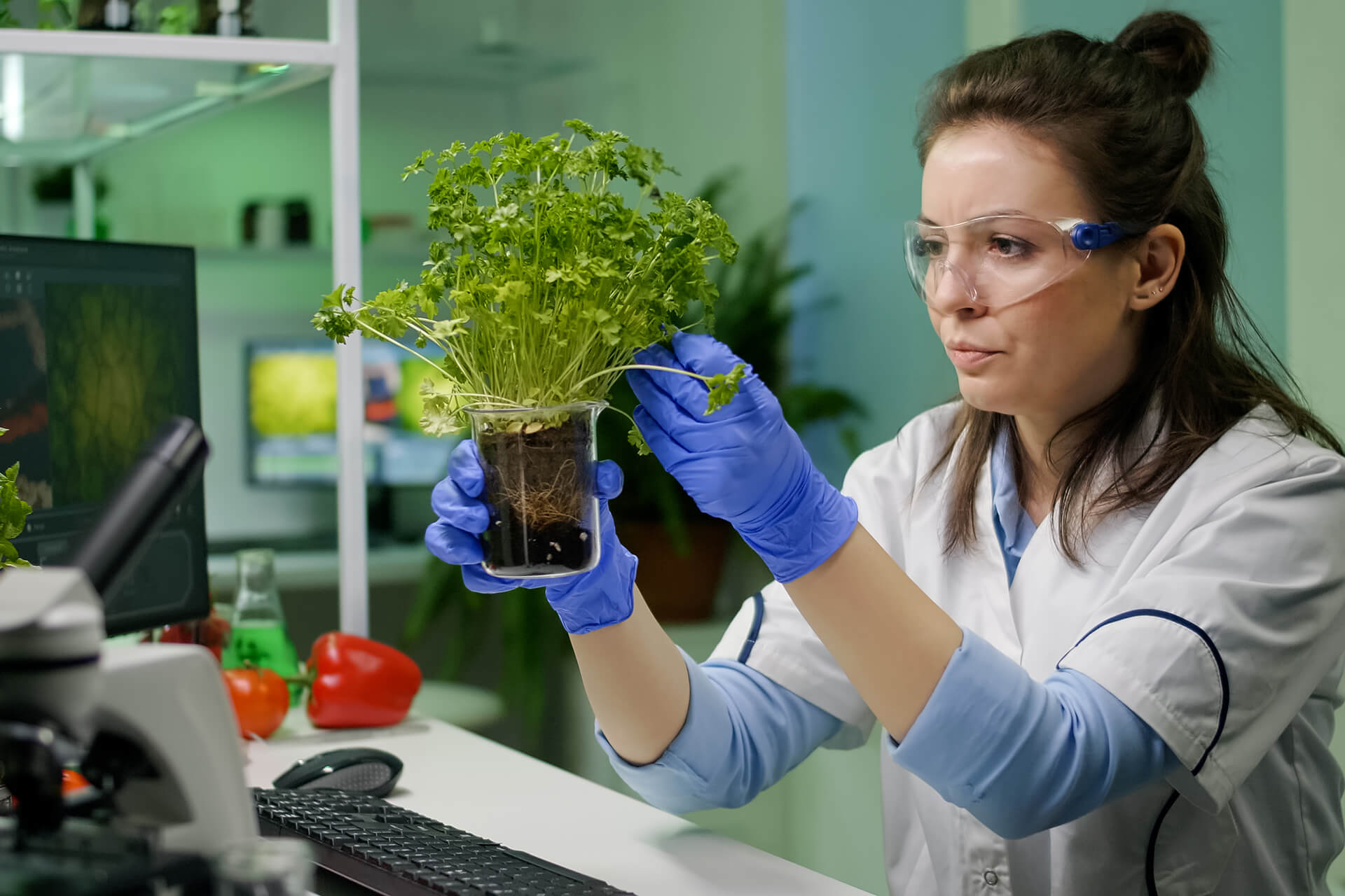 Recommendations for soil sampling for farming – Public Health 4u